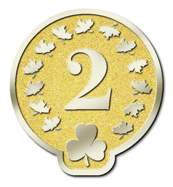 MEMBERSHIP PIN - YEAR 02 – The Girl Guide Store by Positive Identity